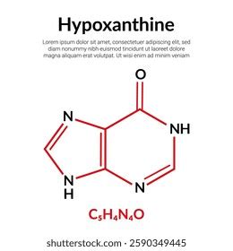 Hypoxanthine Purine Derivative Molecular Structure Formula Stock Vector