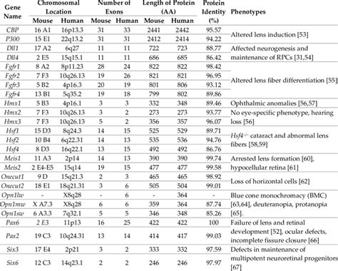 Overview Of Paralogous Genes Involved In Eye Development Download