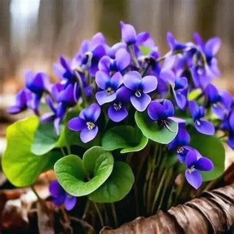 Giorgi 🔬 როგორ მოქმედებს საკვების ფერები თქვენს ჯანმრთელობაზე 🥦🍇🍎 📍 პროფესორი გიორგი ფხაკაძე