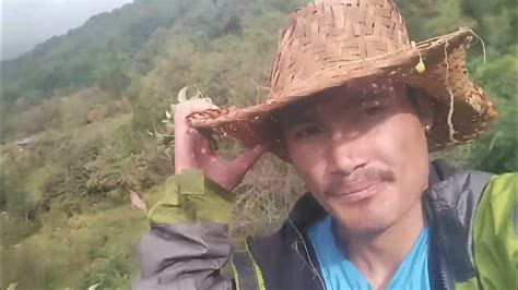 Pokhara Dekhi Khopra Aayera Majley Charalai Dhapayera Rukhako Fal Gedha Chai Khaiyo 🤣