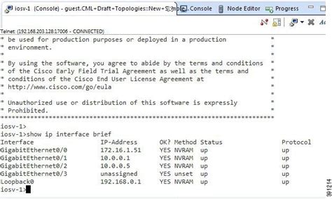 cisco modeling labs 1 0 user guide external connectivity in cisco