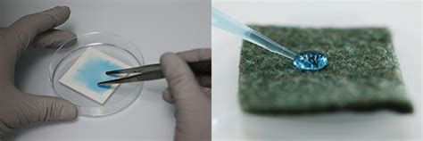 Virhealth Department Antimicrobial Surfaces Testing Services