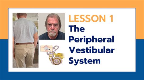Vestibular Rehabilitation In The Geriatric Population
