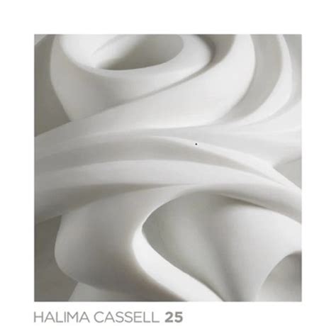 Halima Cassell 25 The Hepworth Wakefield Enterprises