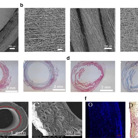 Schematic Diagram Of Nanofiber Fabrication Techniques A Self Assembly Download Scientific