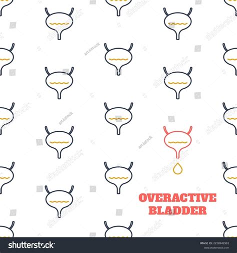 Overactive Bladder Syndrome Awareness Poster Bladder Stock Vector