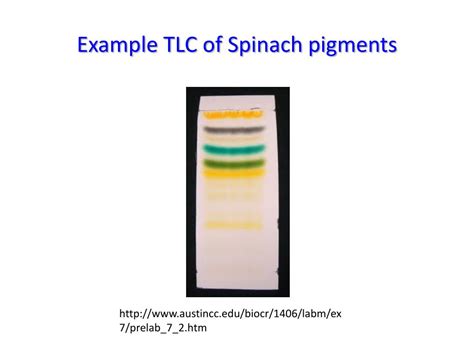 Ppt Mibtp Masterclass Chromatography Powerpoint Presentation Free