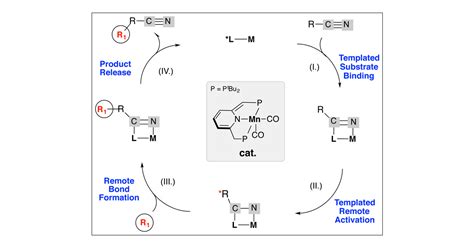 Template Catalysis By Metalligand Cc Bond Formation 45 Off