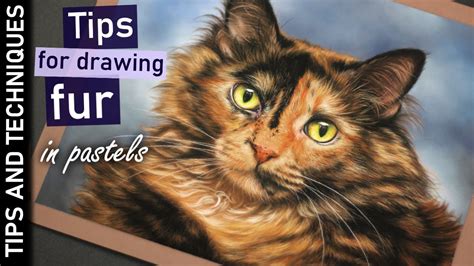How To Draw Realistic Cat Fur