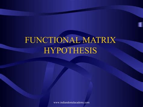 Functional Matrix Theory Revisited Pptx