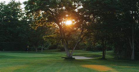 가벼운 격리 경치 경치가 좋은 고요한 고요함 골든 아워 골프 골프 치는 골프 코스 공원 구멍 그림 같은 그림자 나무 나무 줄 나뭇잎 녹색