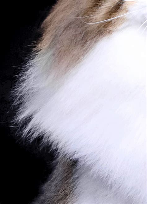 Merge Layers While Keeping Blend Modes Adobe Product Community 13587045