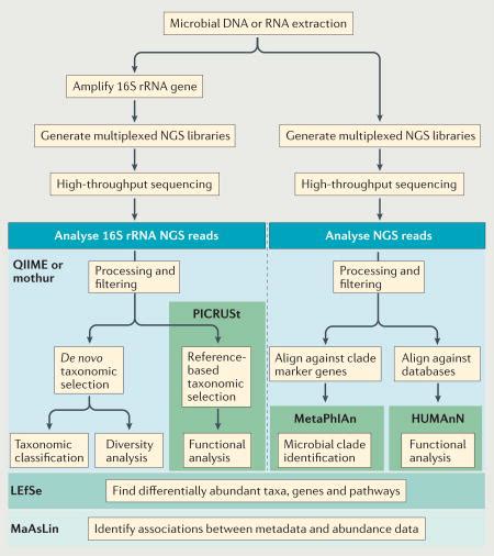 Gut Microbiota Metabolites And Host Immunity Abstract Europe PMC