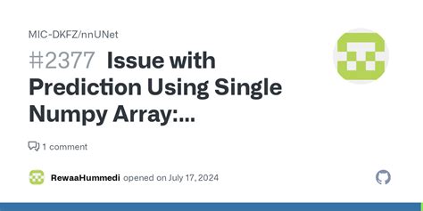 Issue With Prediction Using Single Numpy Array RuntimeError In NnUNetPredictor Issue