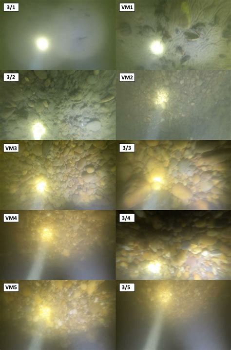 River Bed Video Images At The Sampling Points In Section Vm Download Scientific Diagram