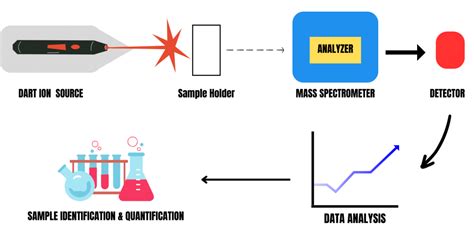 Dart Ms Testing Enviropass