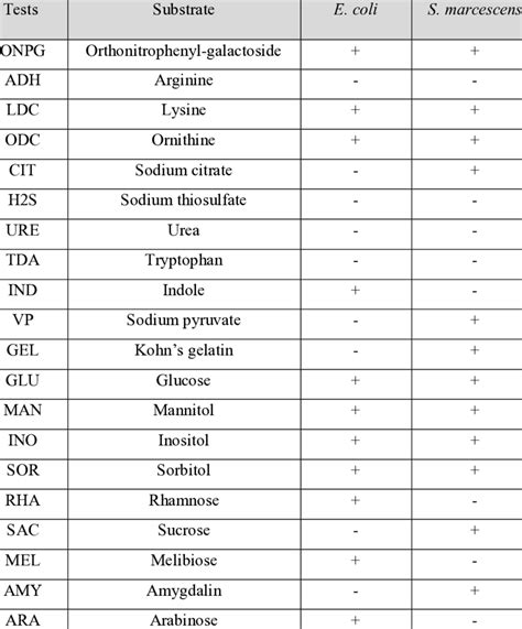 Api 20 E Results Indicative Of E Coli And S Marcescens Download Scientific Diagram