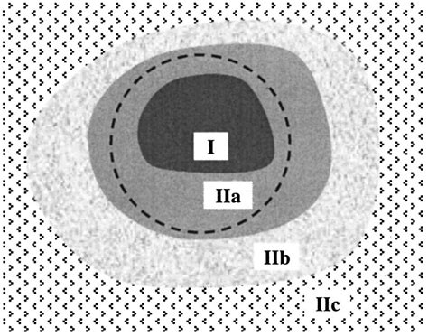 Schematic Representation Of The Space Partitioning Underlying A Download Scientific Diagram