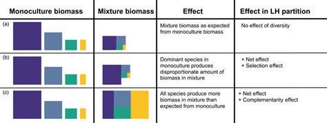 Visual Depiction Of The Loreau And Hector 2001 Additive Partitioning Download Scientific