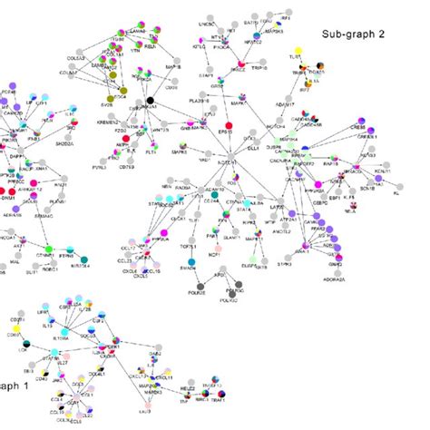 Visualization Of The Three Modulated Directed Sub Graphs Identified By