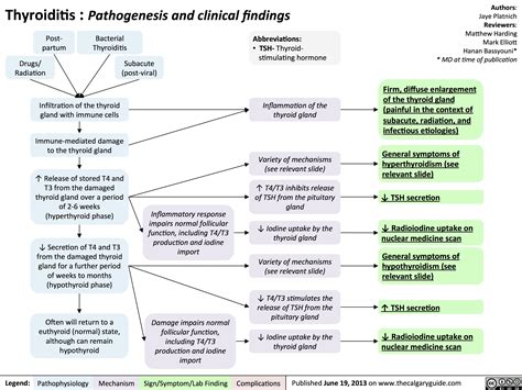 Thyroiditis Pathogenesis And Clinical Findings Calgary Guide