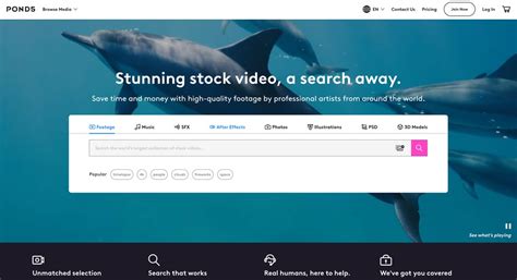 Top 13 Royalty Free Stock Media Sites For Youtube Fliki