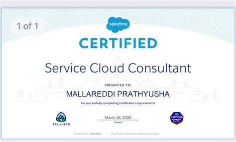 Prathyusha M On Linkedin Salesforceconsultant Consultant