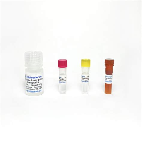 pyruvate fluorometric assay tbs2023f tribioscience