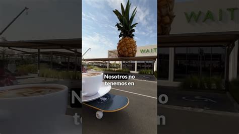 🧠💡 Transforma Tu Mente Con Las Autopistas Neurales Y Alcanza Tu