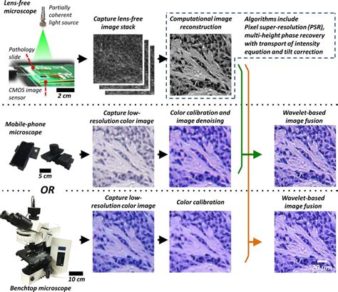 Optical Setup And Imaging Flow Chart Top Row The Lens Free Microscope