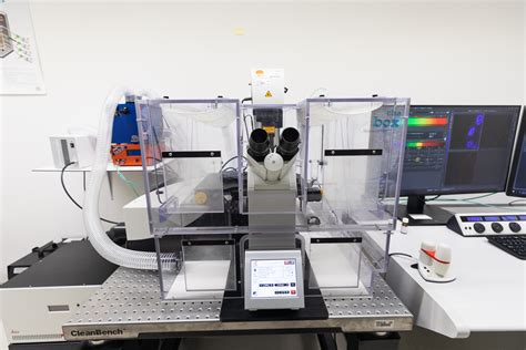 Leica Sp8 Confocal Microscope Equipped With Falcon Flim Unit