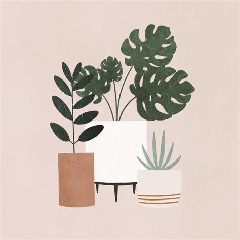 Drawing Plants Aesthetic At Carmen Zandra Blog