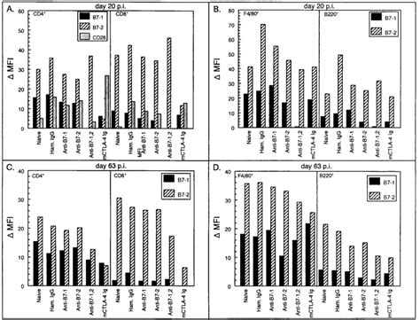 Phenotypic Analysis Of Costimulatory Molecule Expression On Splenic