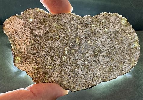 Achondrites Prehistoric 101