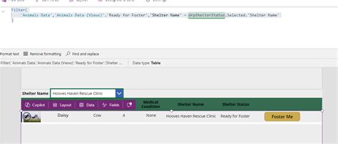 Unable To Filter Ready To Foster And Dropdownse Power Platform Community