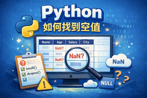 Python 如何找到空值 Python 如何找到空值