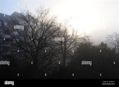 Kastrupcopenhgen Denmark 08 March 2024 Danosh Weather Fog And Mist