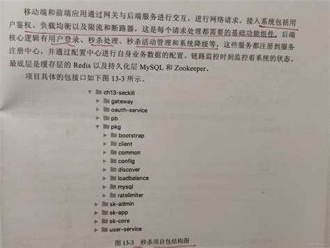 13 go语言高并发与微服务实战 综合实战：秒杀系统的设计与实现 go语言高并发与微服务实战电子版 csdn博客