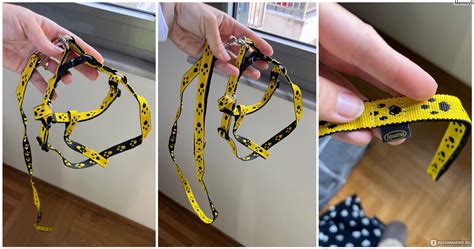 Шлейка + поводок для собак Mini Zoo Iguana LEASH & HARNESS - «Для ...