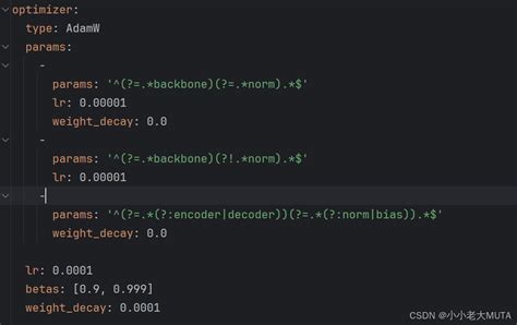 Rt Detr代码详解（官方pytorch版）——参数配置（1） 技术栈