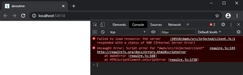 Flutter Web Displaying Only Blank Page On Chrome · Issue 67221