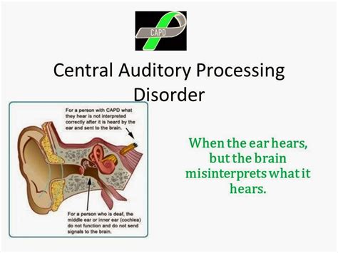 Auditory Processing Disorder At Madison Hales Blog