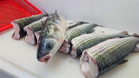 보리숭어는 섞어 드셔야 맛있는 이유 숭어 모듬회생선손질 Youtube