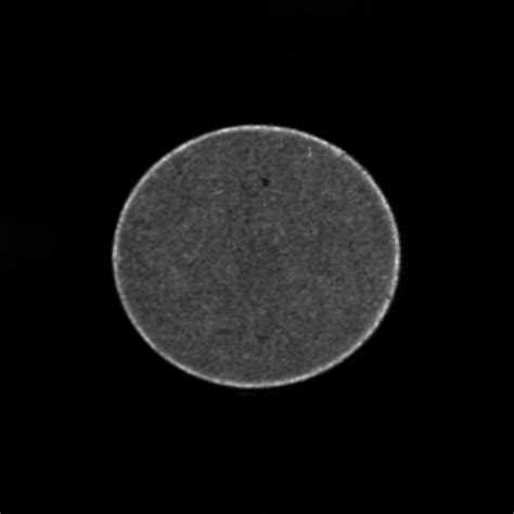 Test1 Object Detection Model V1 2024 10 16 7 41am By Test1