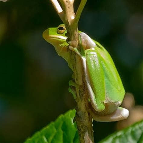 William Eubanks Youtube