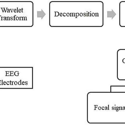 Discrimination Between Focal And Non Focal Signal Download Scientific Diagram