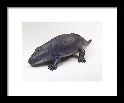 Prehistoric Amphibians Toys Tube Of 12 Prehistoric Life Montessori