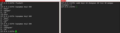【redis】zset 类型 redis zset csdn博客