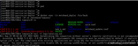 查看吾托帮88 47的docker里的tomcat日志 docker tomcat启动日志在哪里 csdn博客