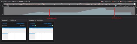 C Vs2019 Memory Profiler Taking Snapshot Affects Memory Usage